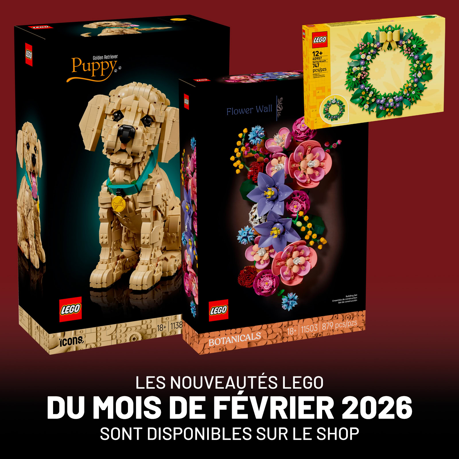 On the LEGO Shop: the new products for February 2026 are available ...